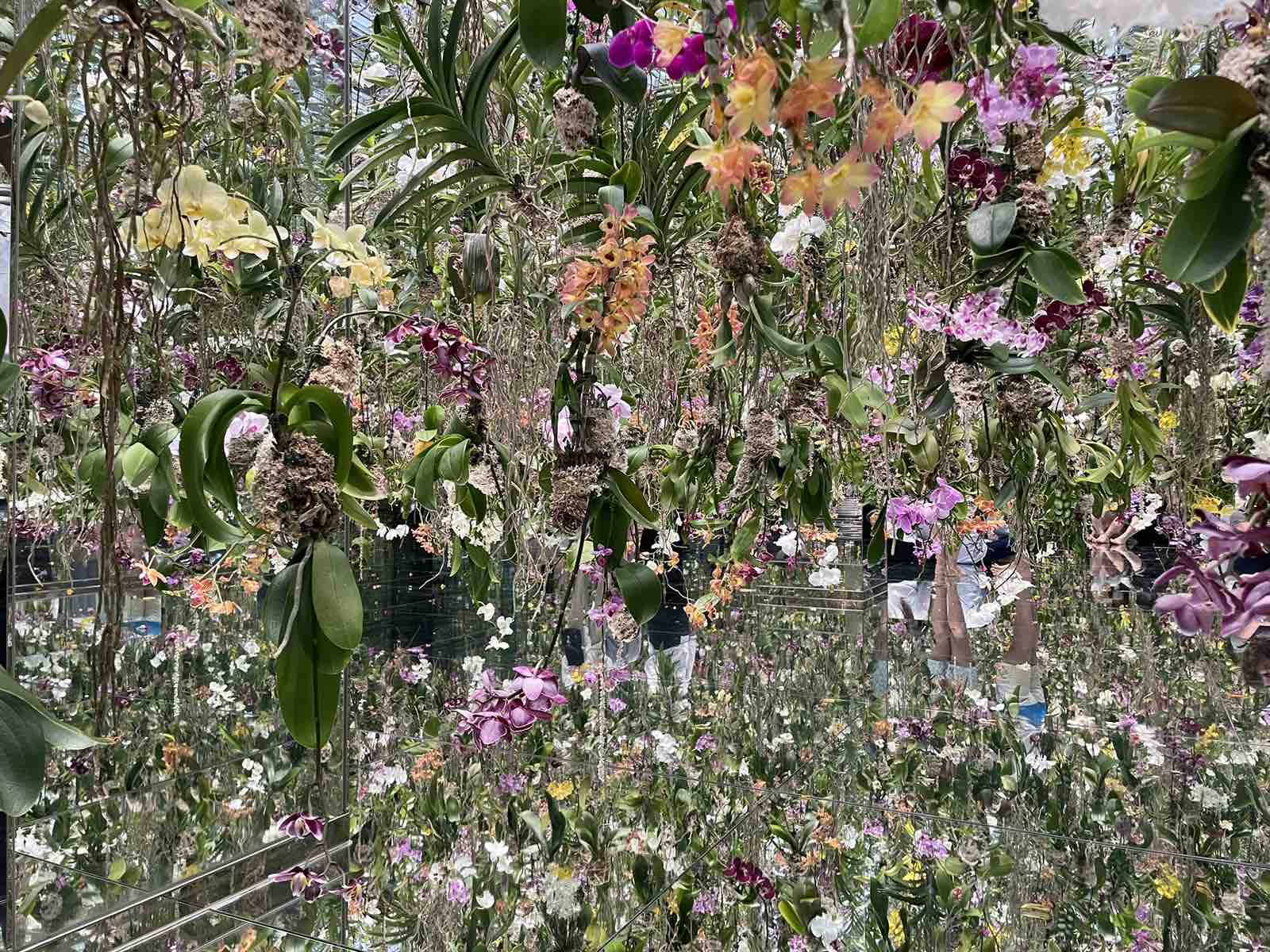 edelRitter Portfolio